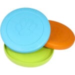 Zisc - The Dog Company