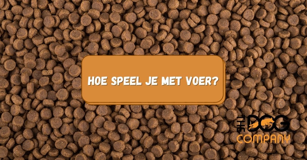 Hoe speel je met voer? - The Dog Company